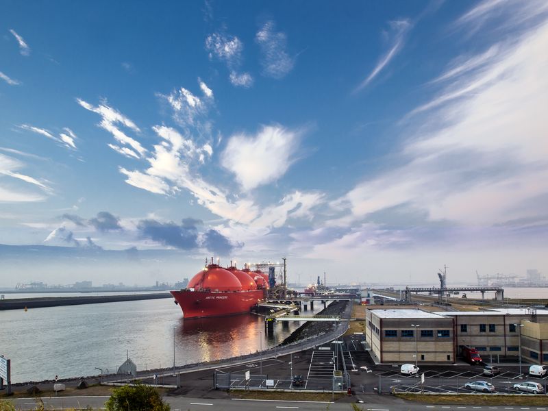 Gate terminal shows growth - Gate